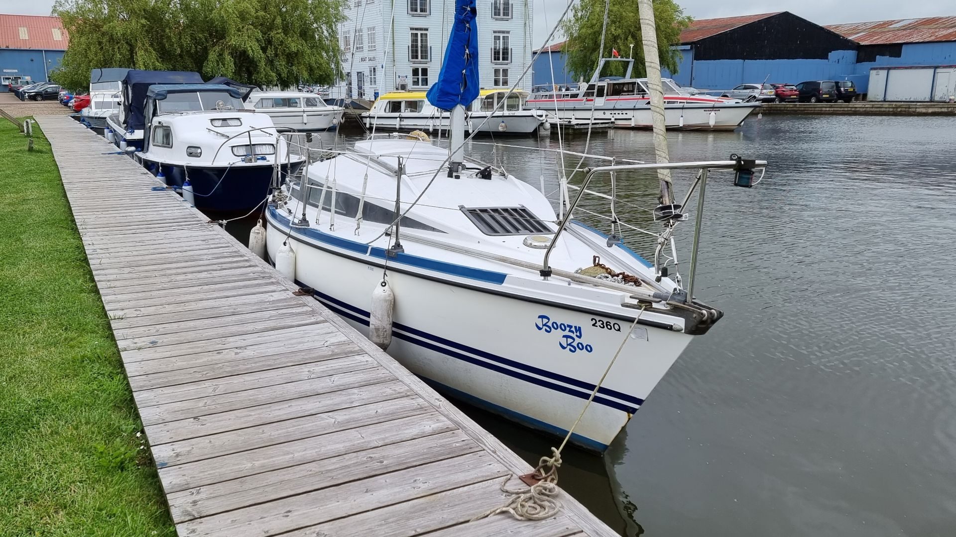 Pegasus 800 - Boozy Boo - Waterside Marine Sales