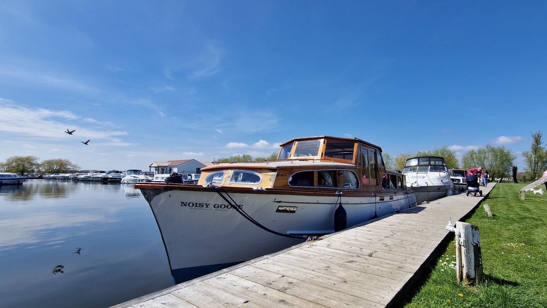 Jack Powles - Noisy Goose - Waterside Marine Sales